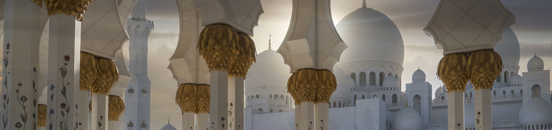 Travel Vaccines for the United Arab Emirates - CNS Occupational Medicine